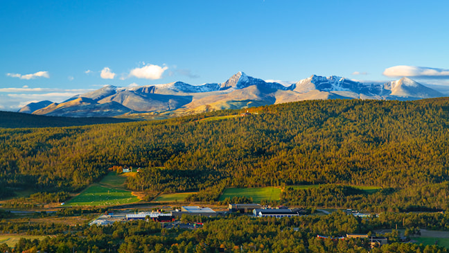 Rondane | Nasjonale turistveger