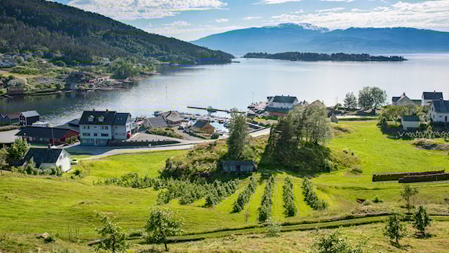 Hardanger | Nasjonale turistveger